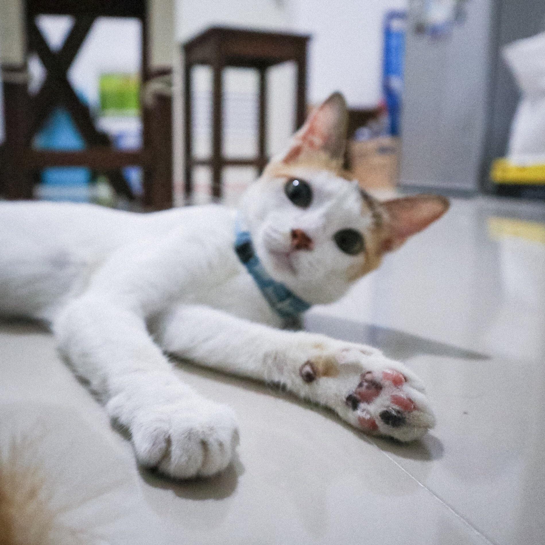 The camera autofocused on her toebeans. | Scrolller