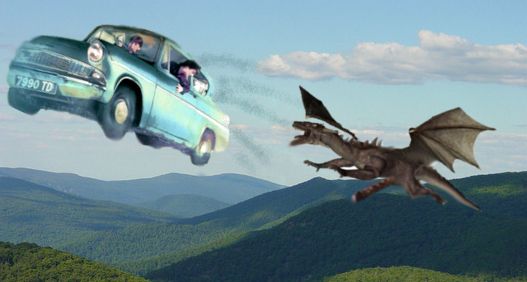 The Chase | Scrolller