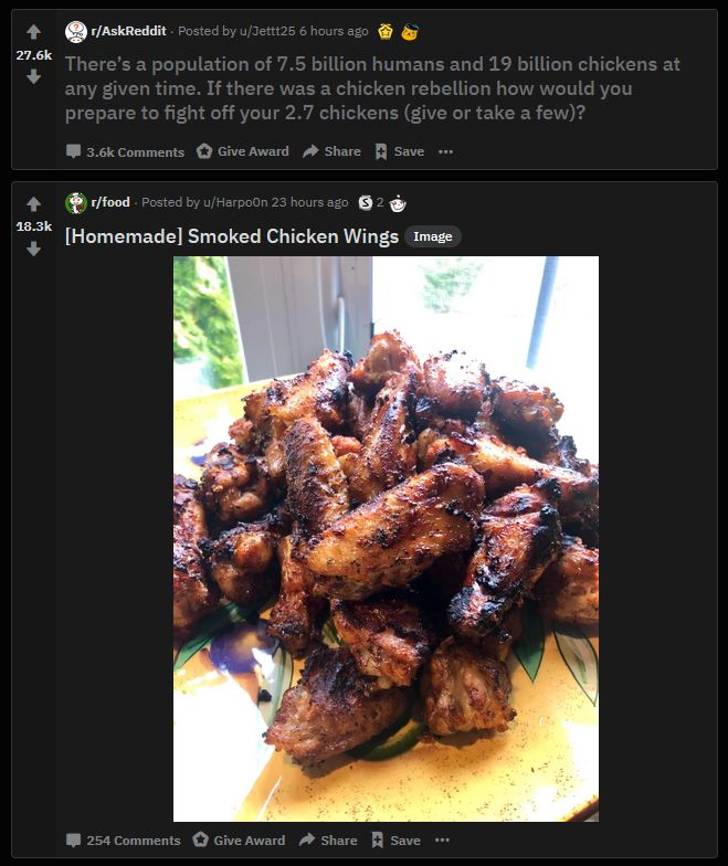 the chicken rebellion | Scrolller