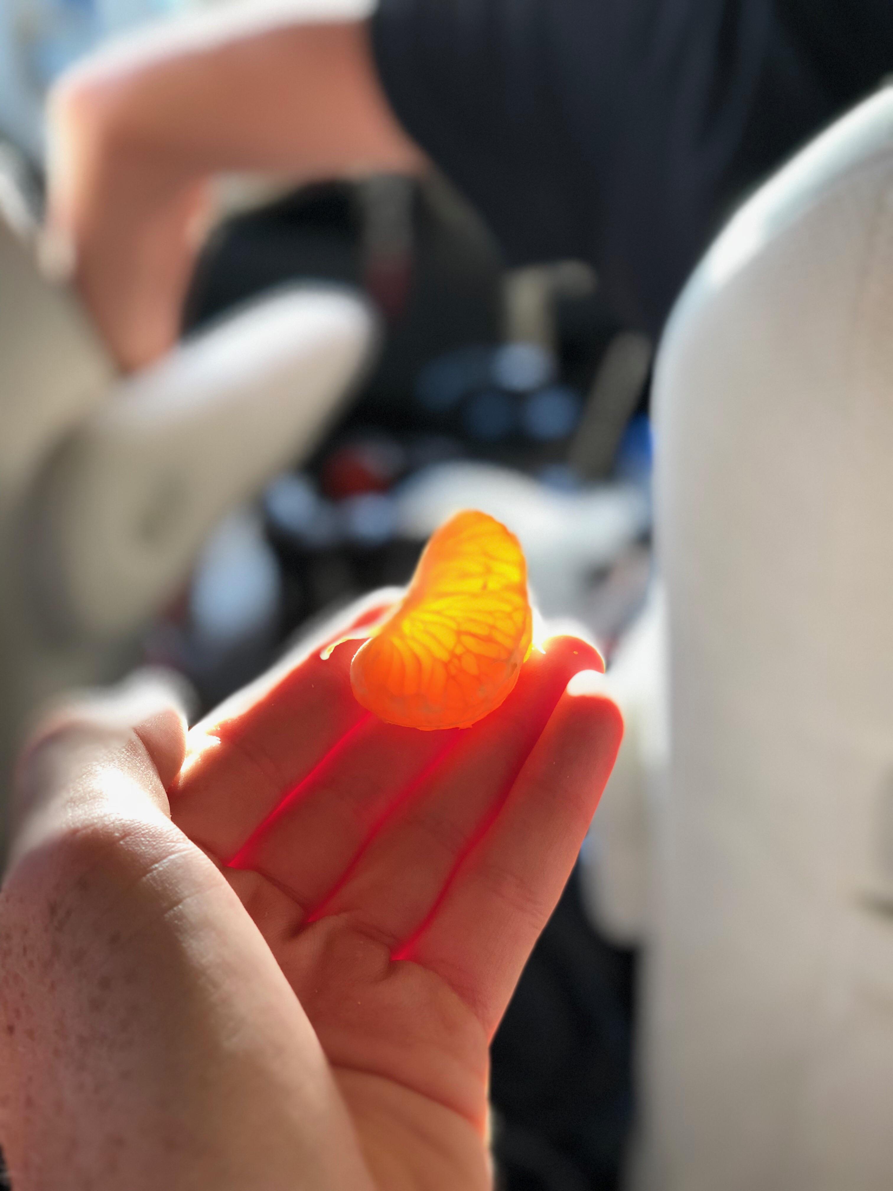 The chosen one | Scrolller