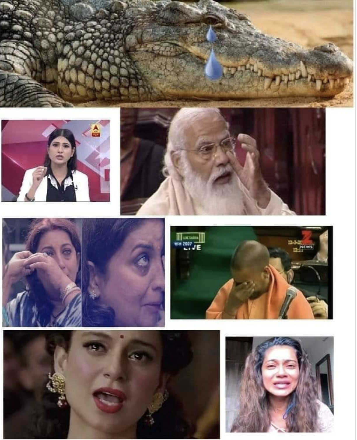 The crocodile Gang | Scrolller