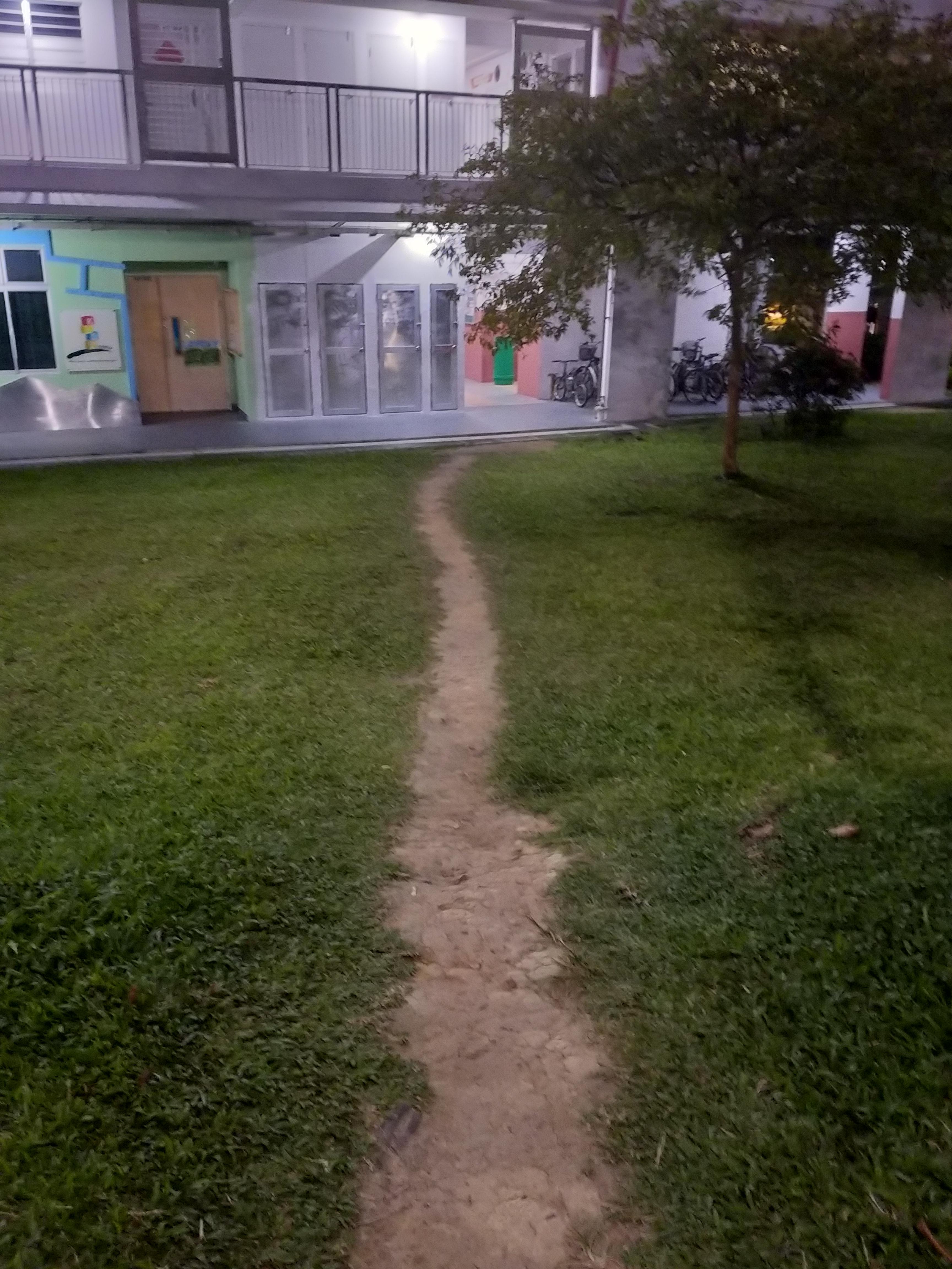 The curious curve around the tree branches | Scrolller