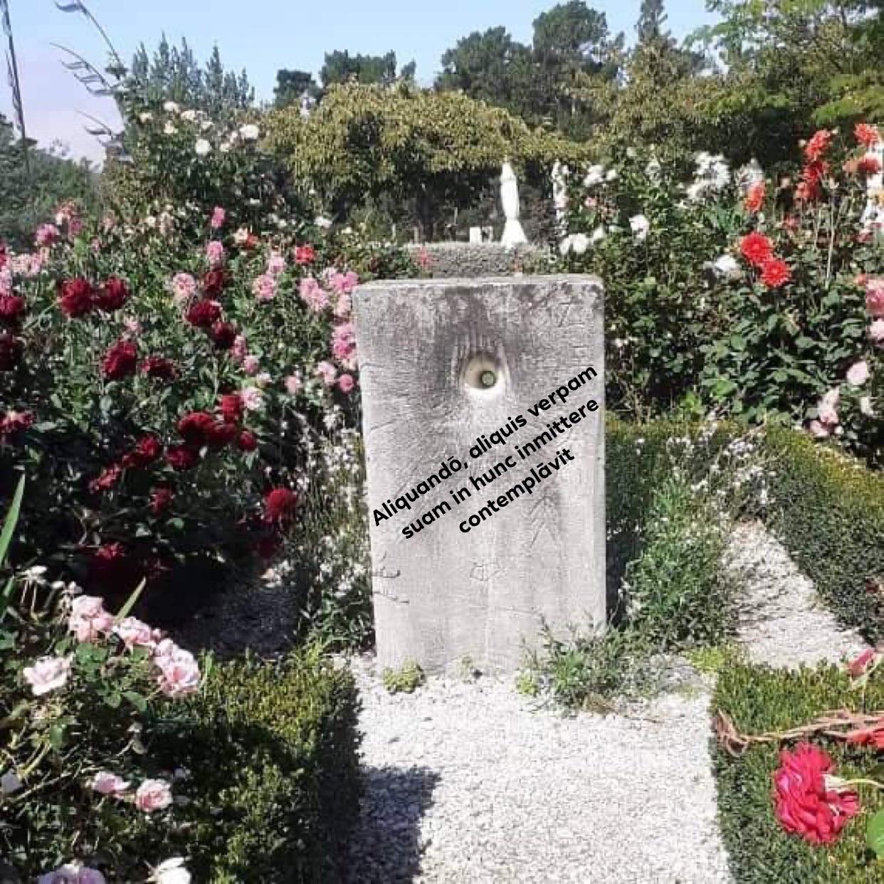 The cursed fleshlight | Scrolller