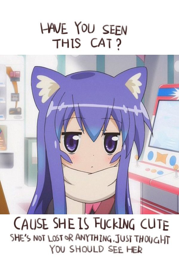 The Cutest Catgirl Scrolller