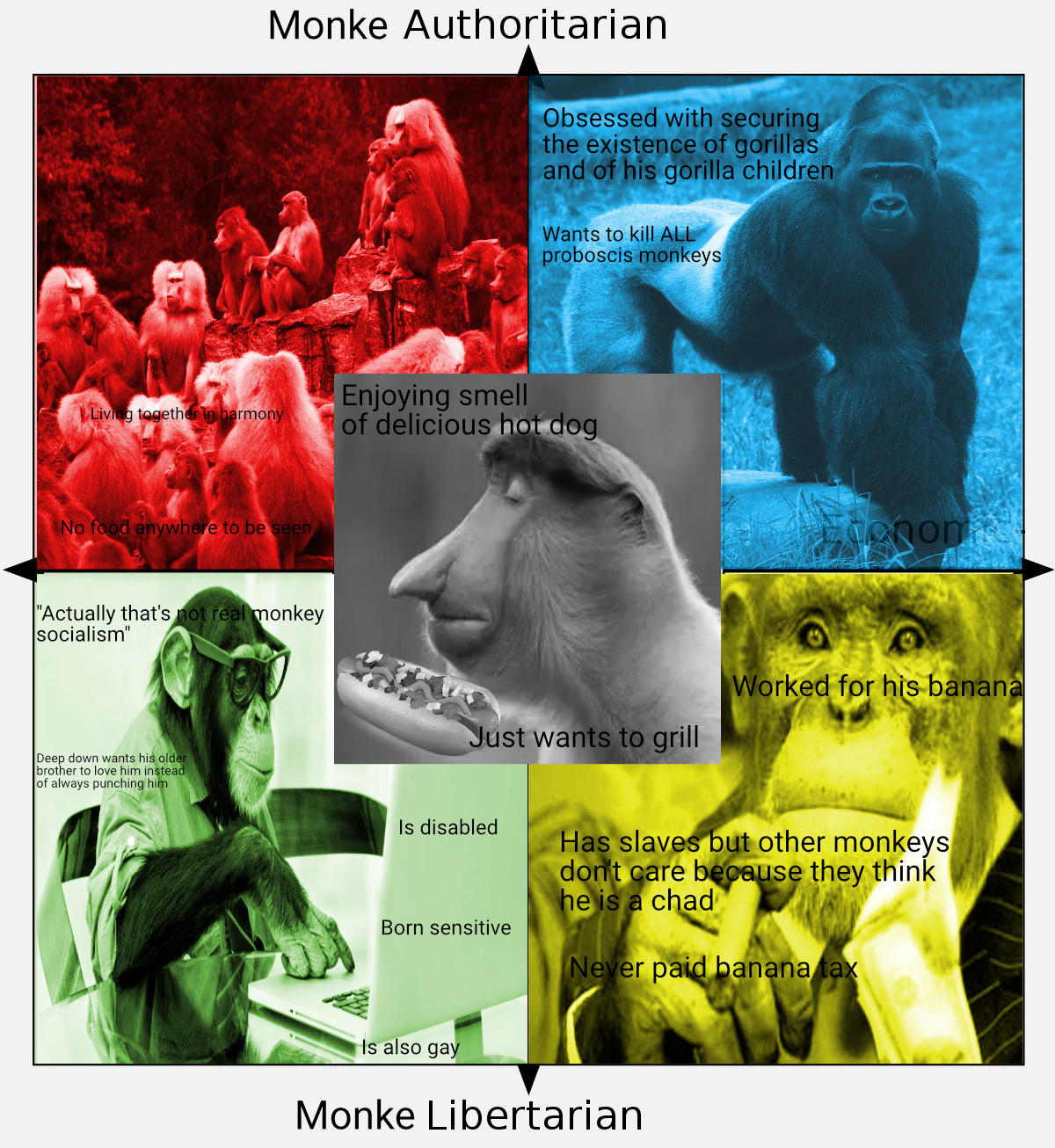 The definitive monke compass | Scrolller