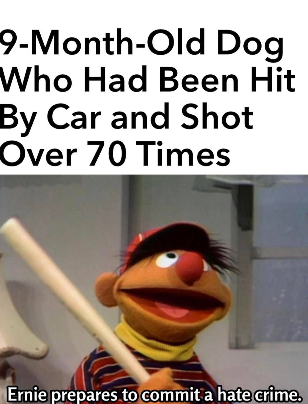 THE DOG IS OK, thank god | Scrolller