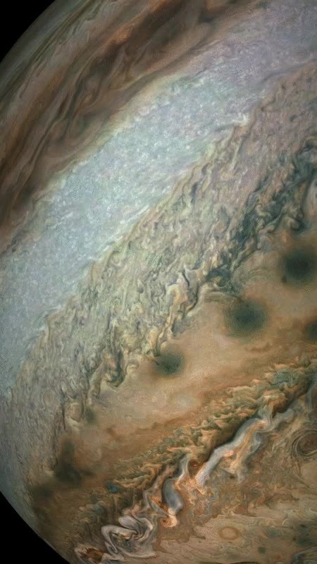 The Dolphin on Jupiter | Scrolller