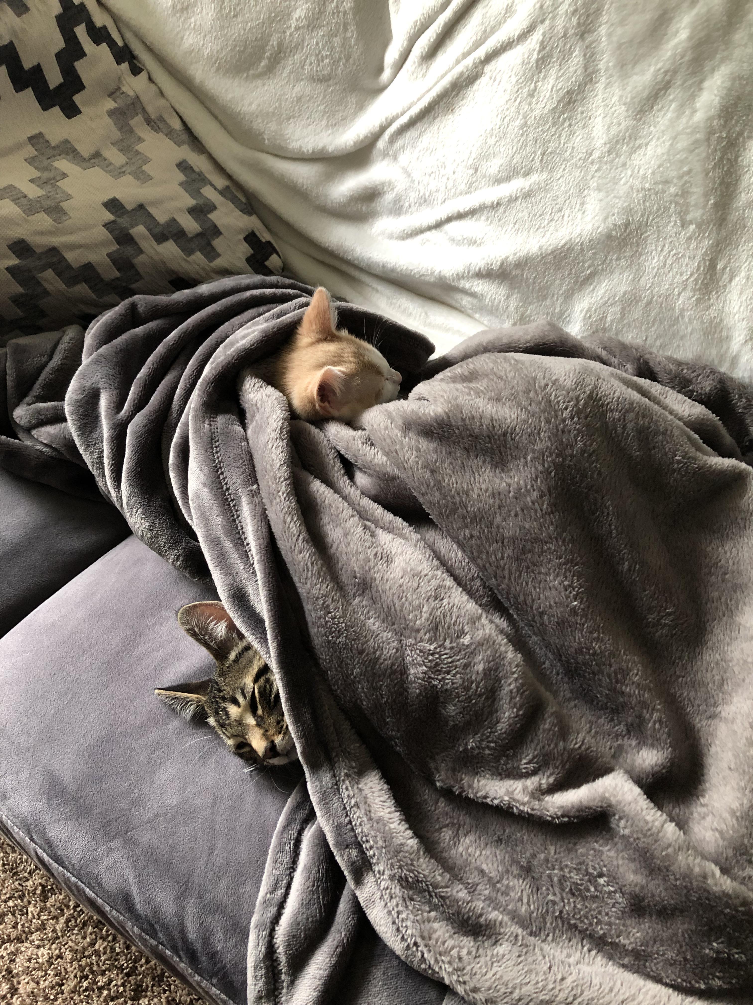 The double tuck | Scrolller