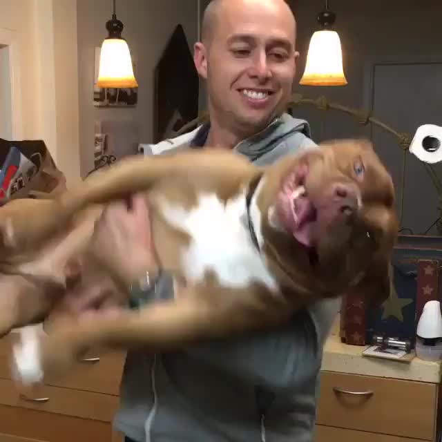 The dumb face of pure Bliss is absolutely perfect | Scrolller