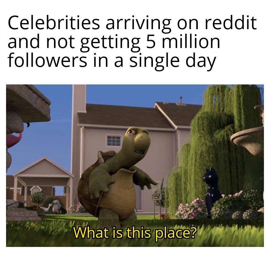 The elevated one | Scrolller