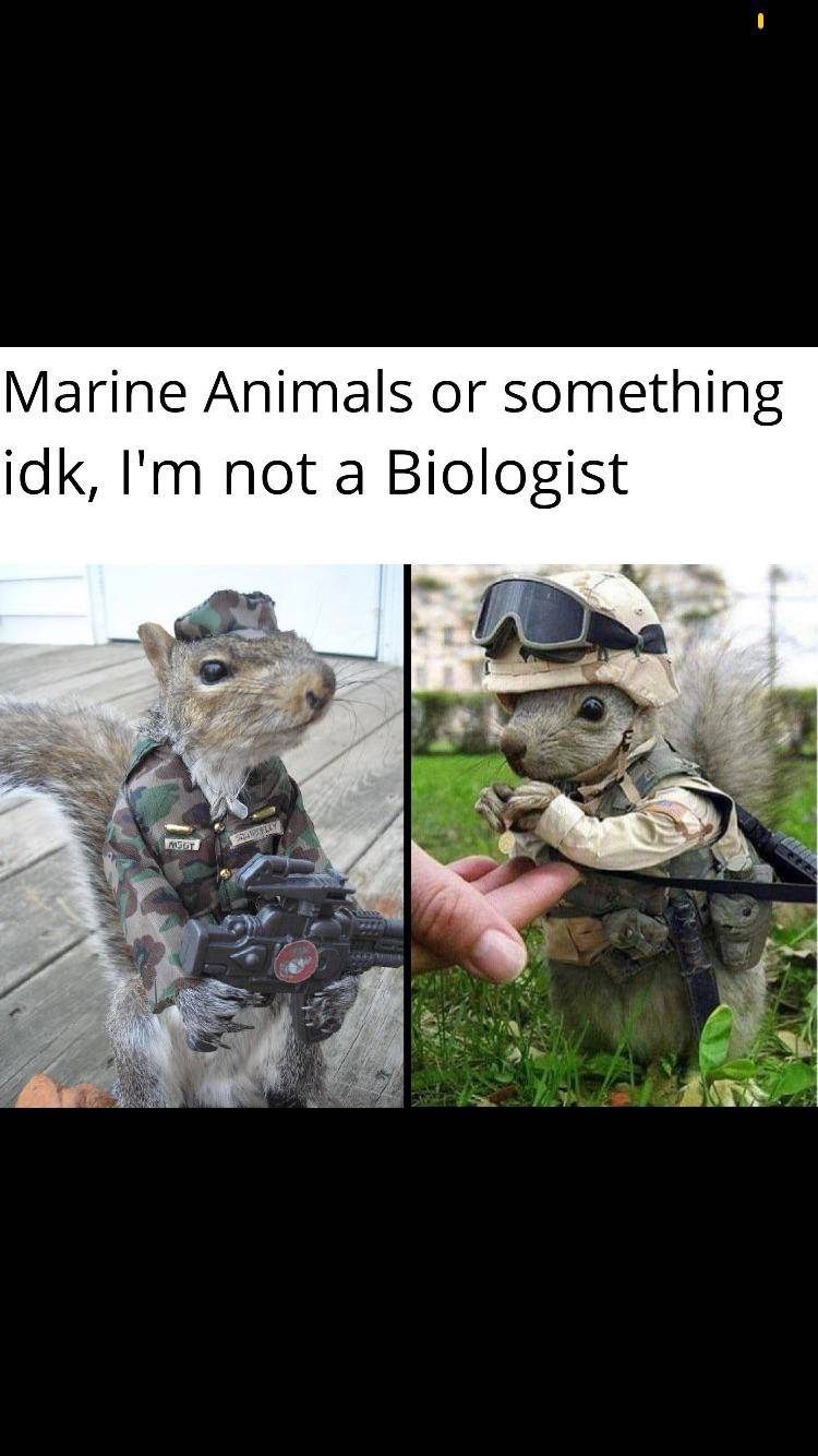 The enlistment rules have changed | Scrolller