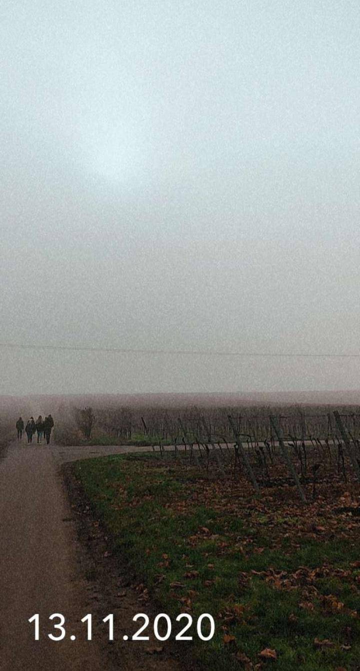 The evening walk! | Scrolller