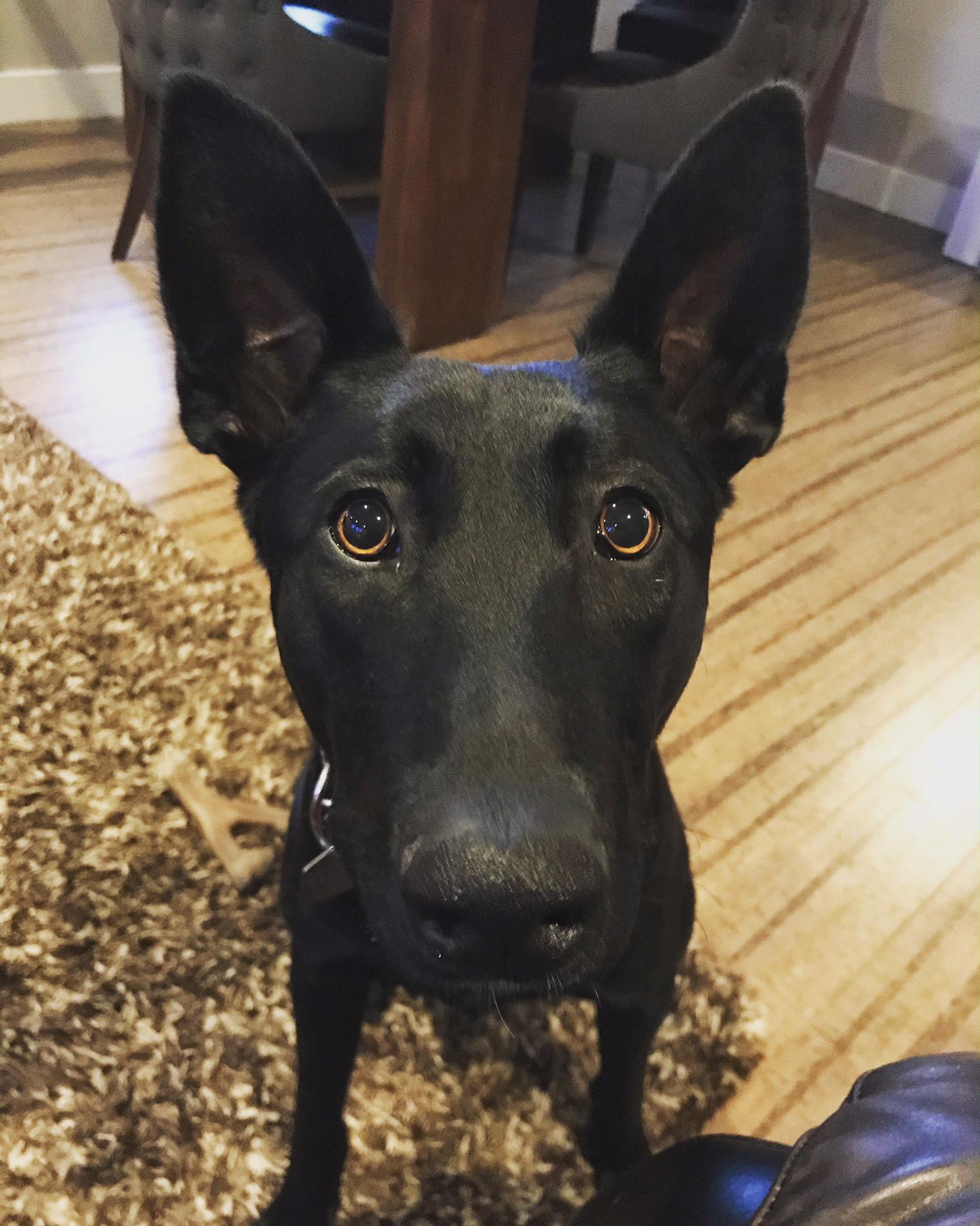 The face I see right before she “attacks”! | Scrolller