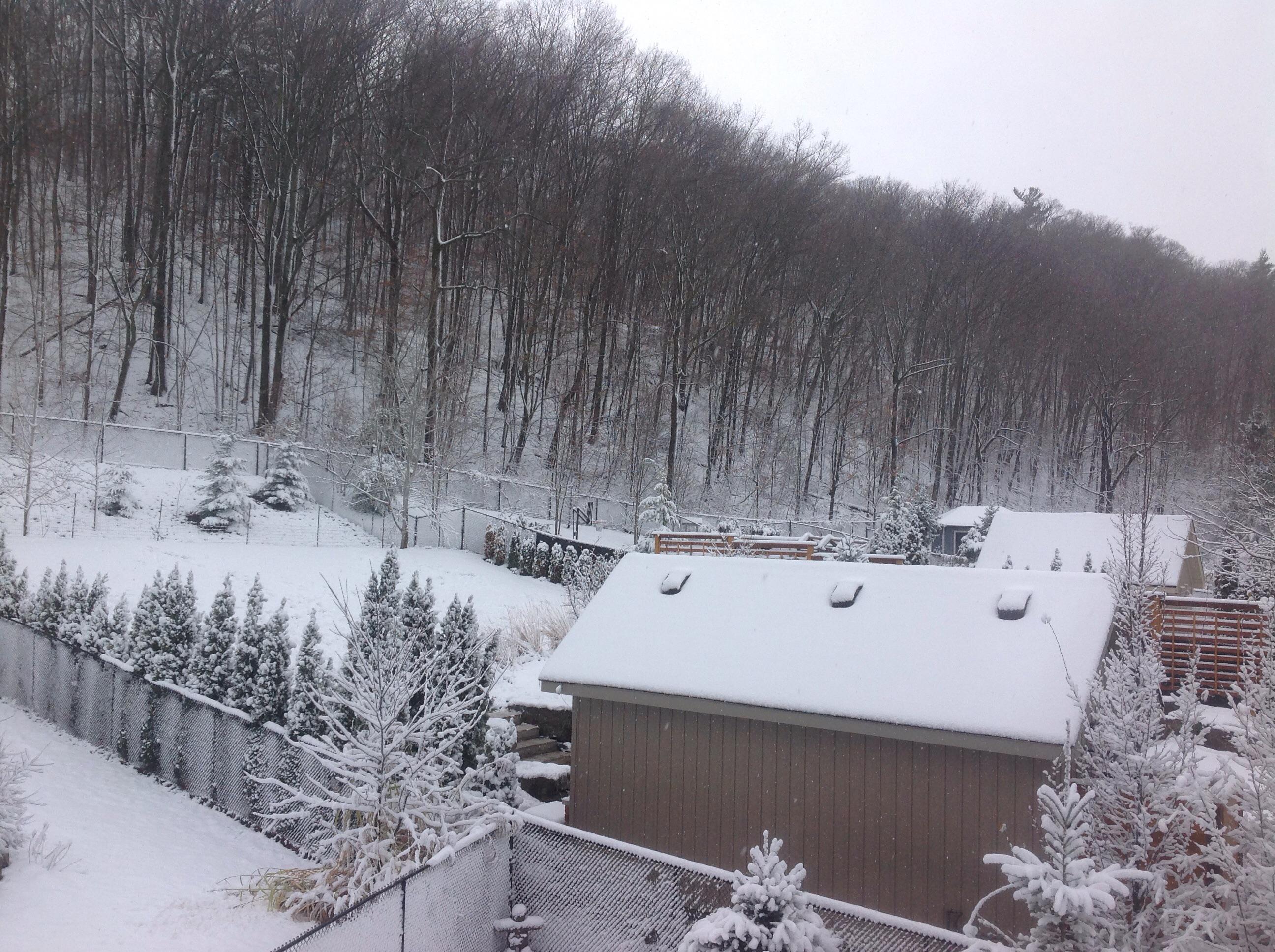 The first snowfall I'm my area | Scrolller