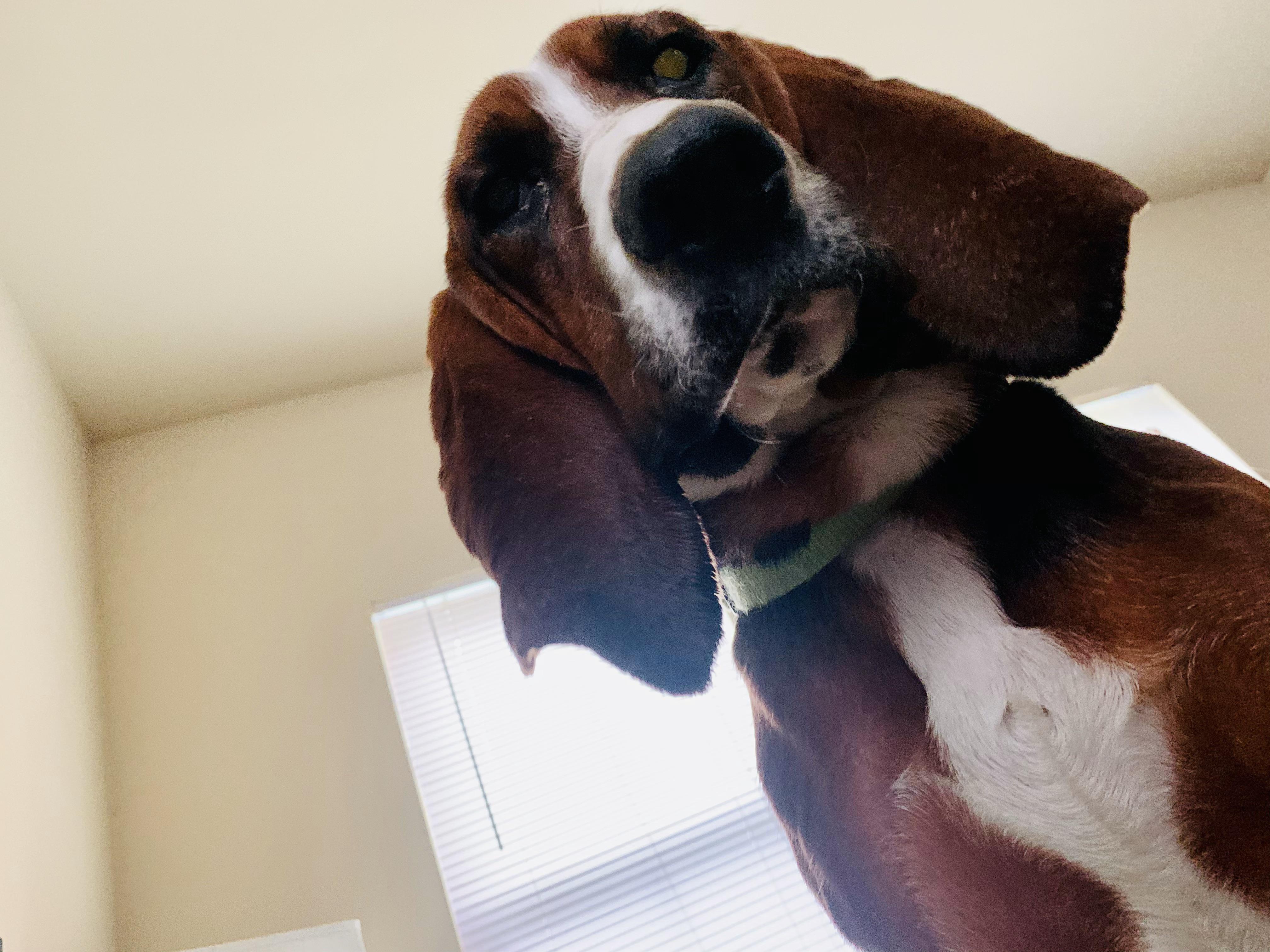 The first thing you see in the morning | Scrolller