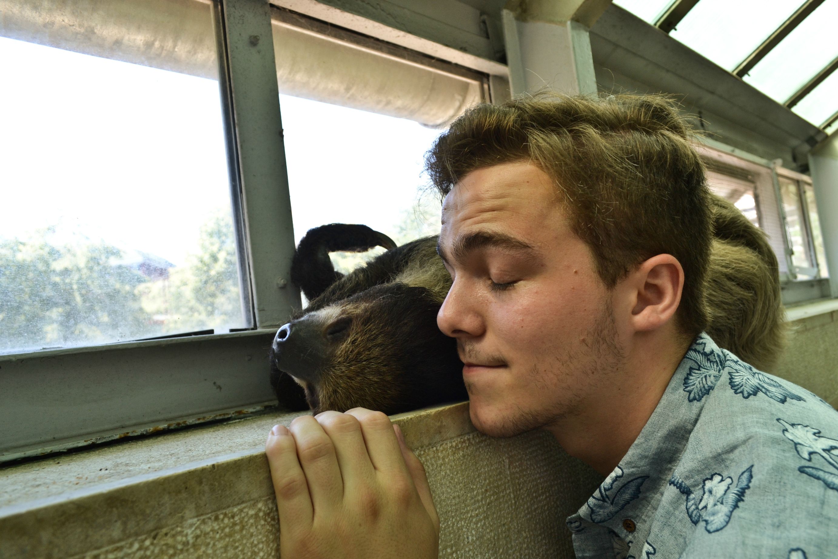 The first time I met a sloth was...amazing. | Scrolller