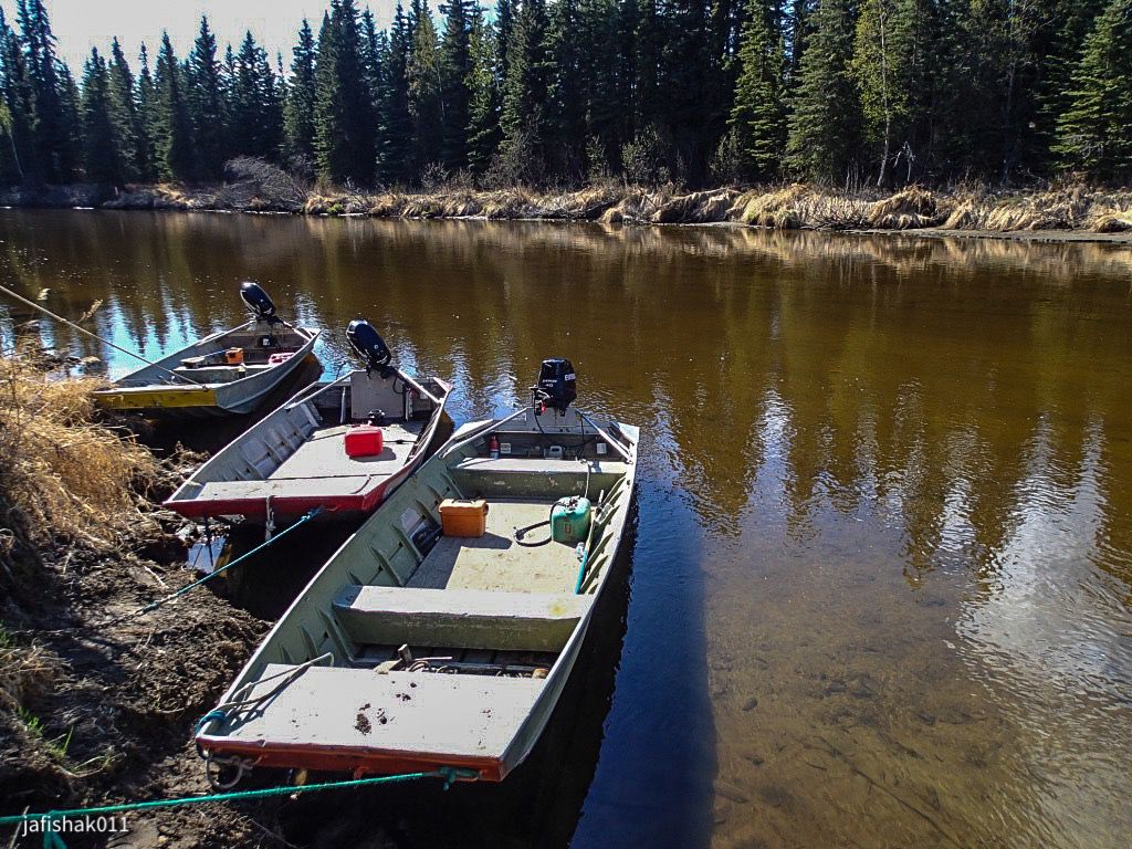 The fleet | Scrolller