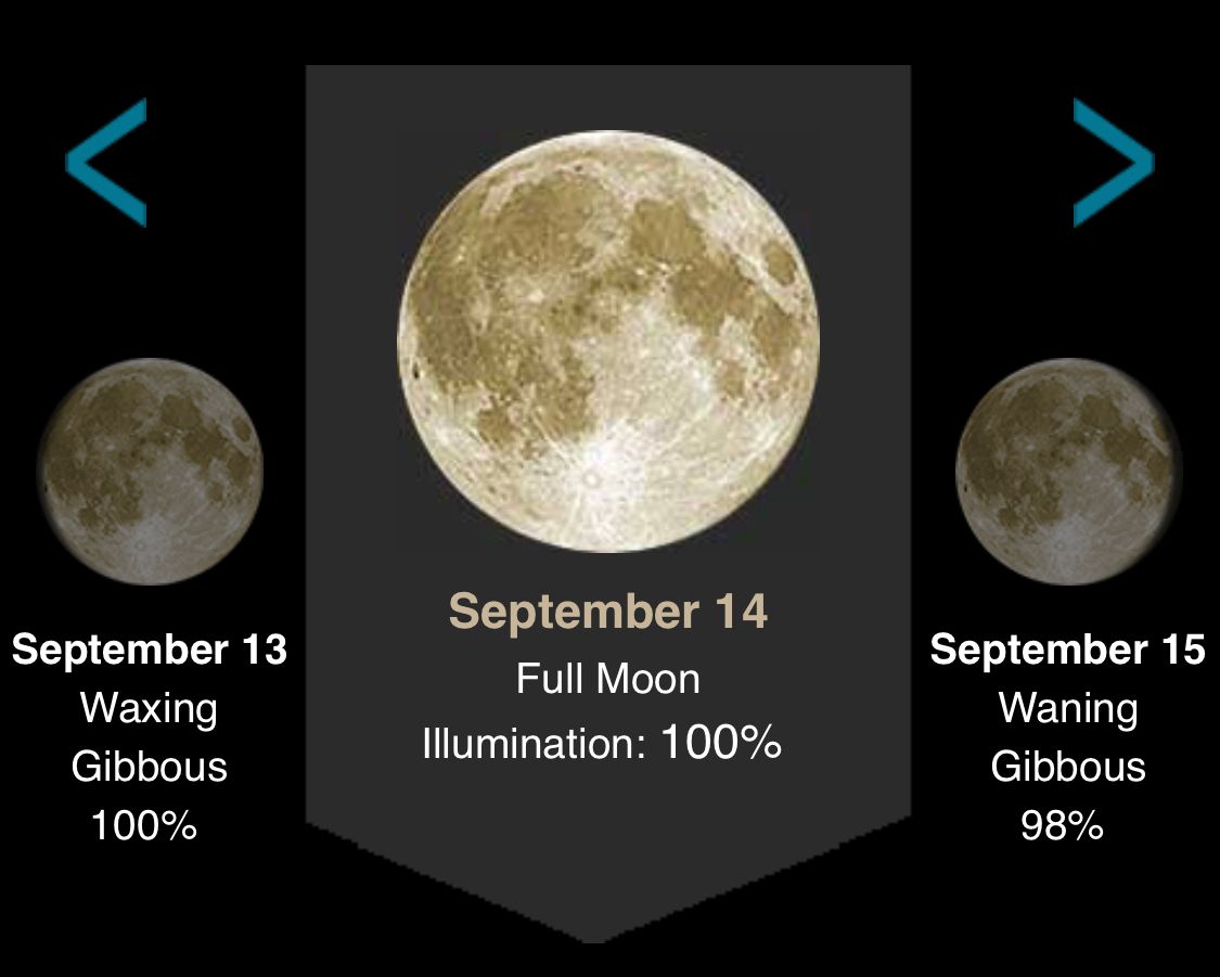 The full moon is on the 14th | Scrolller
