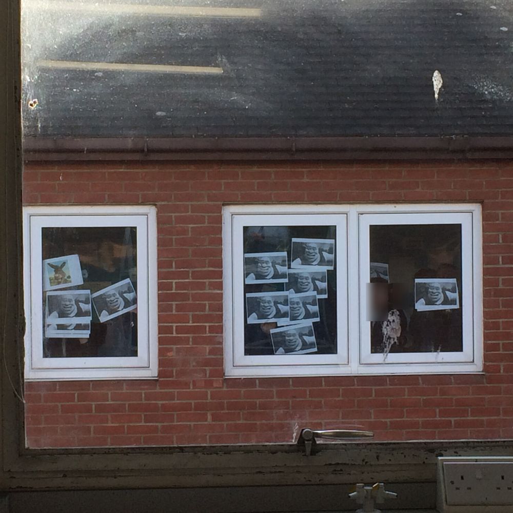 The future generation looks bright. | Scrolller