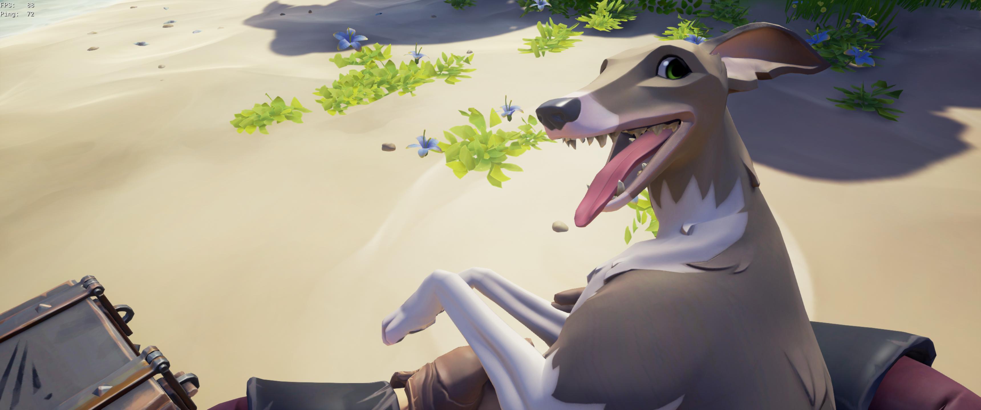 The game "Sea of Thieves" added Whippets. :) | Scrolller