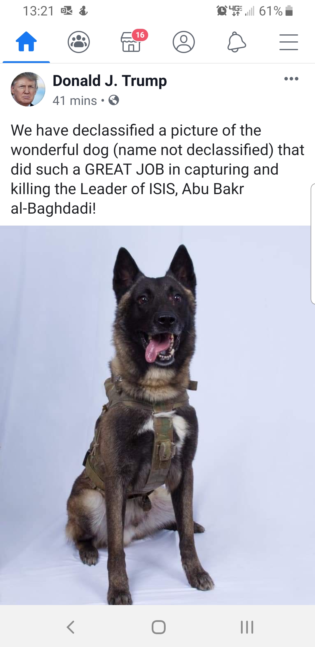 The GOODEST of boys. | Scrolller