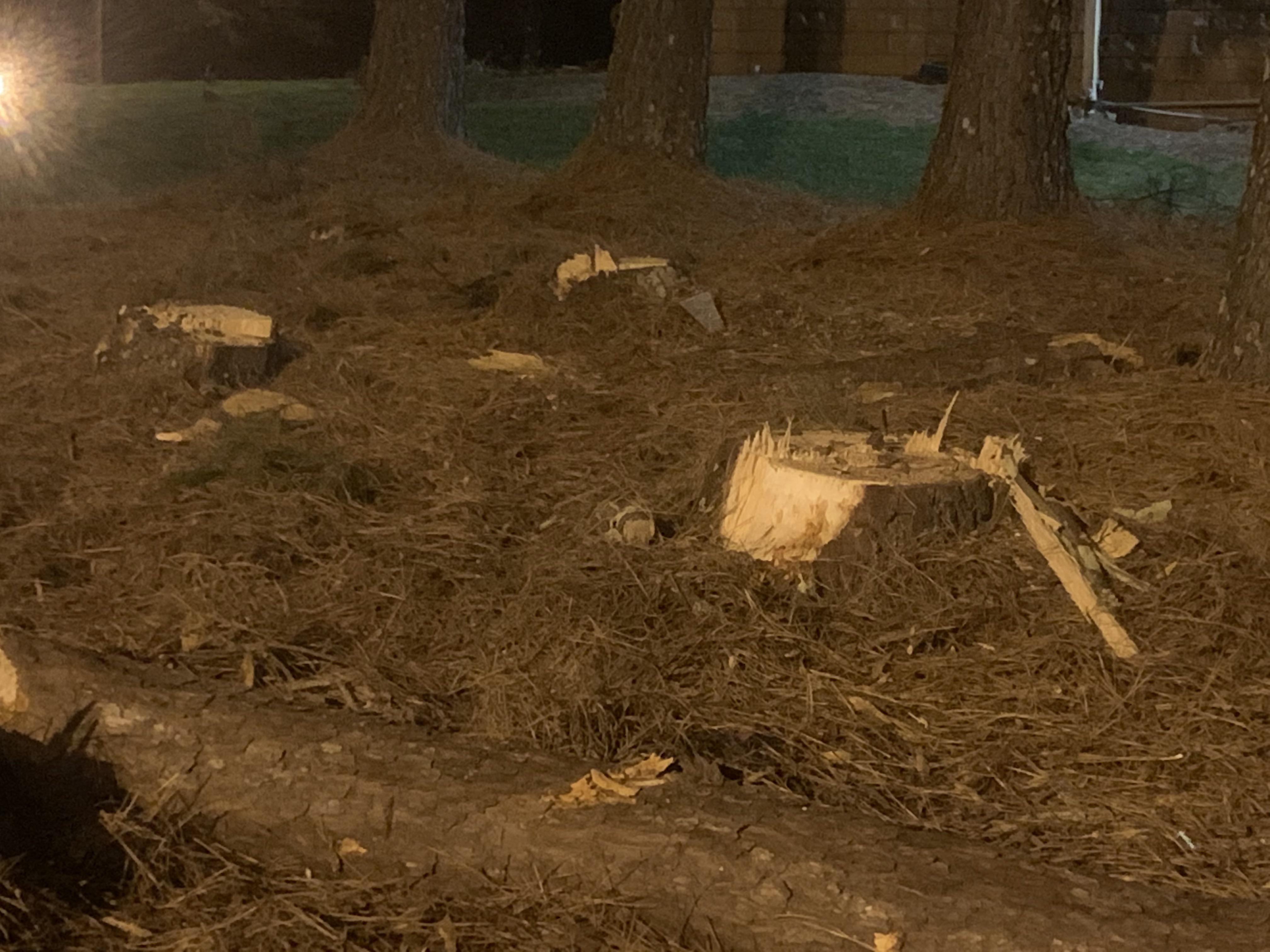 The horror... | Scrolller