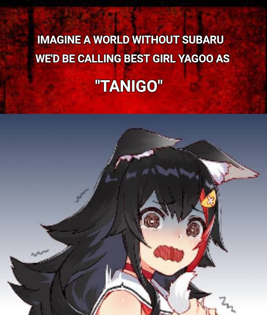 The horror | Scrolller