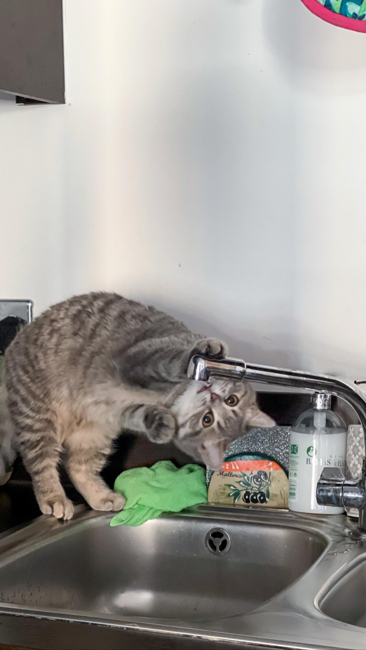 The importance of drinking water😌😆 | Scrolller