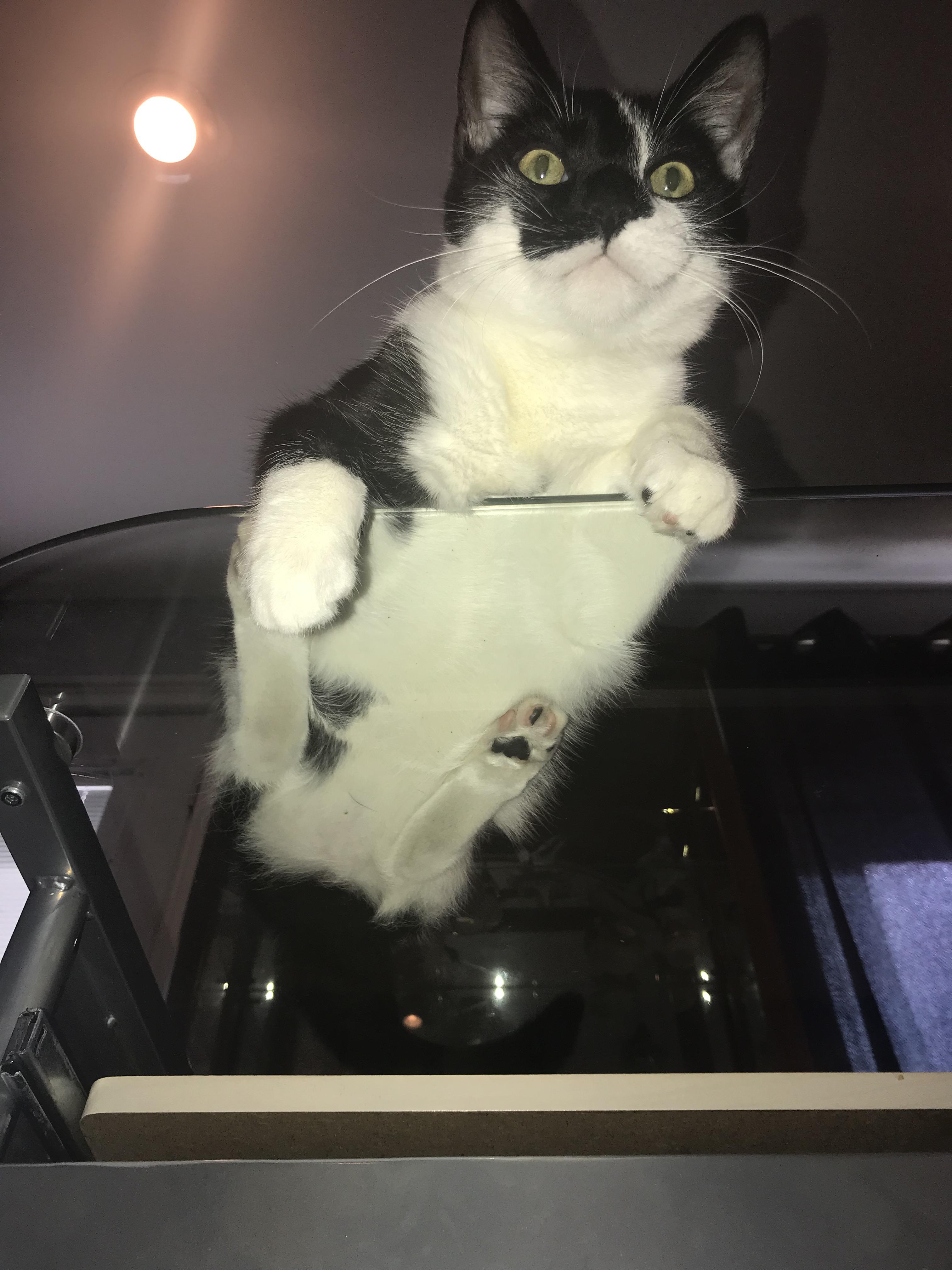 The interested | Scrolller