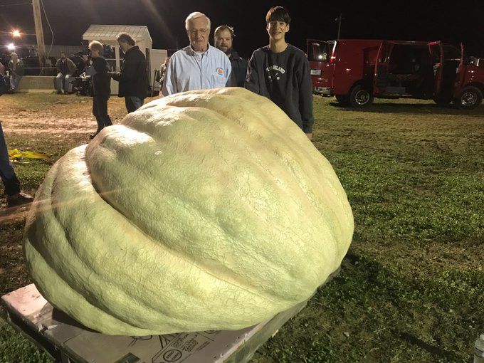 The Largest Pumpkin in the world. | Scrolller