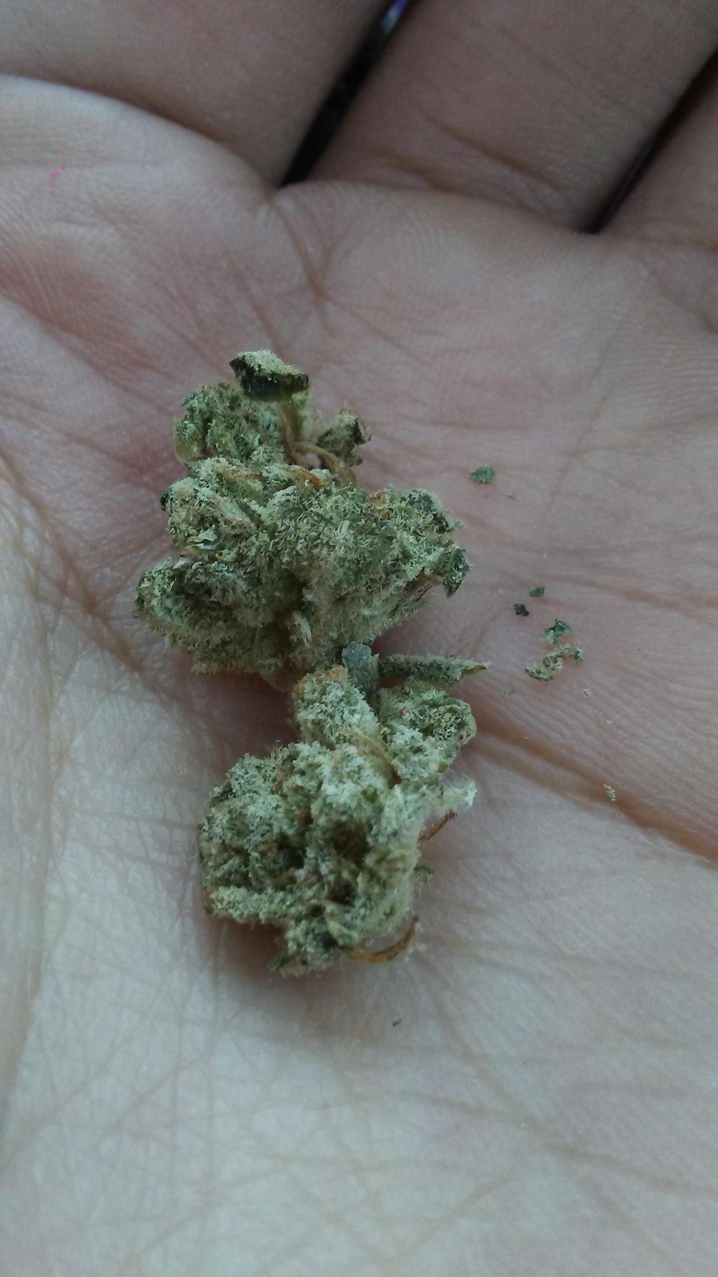 The last of my weed | Scrolller