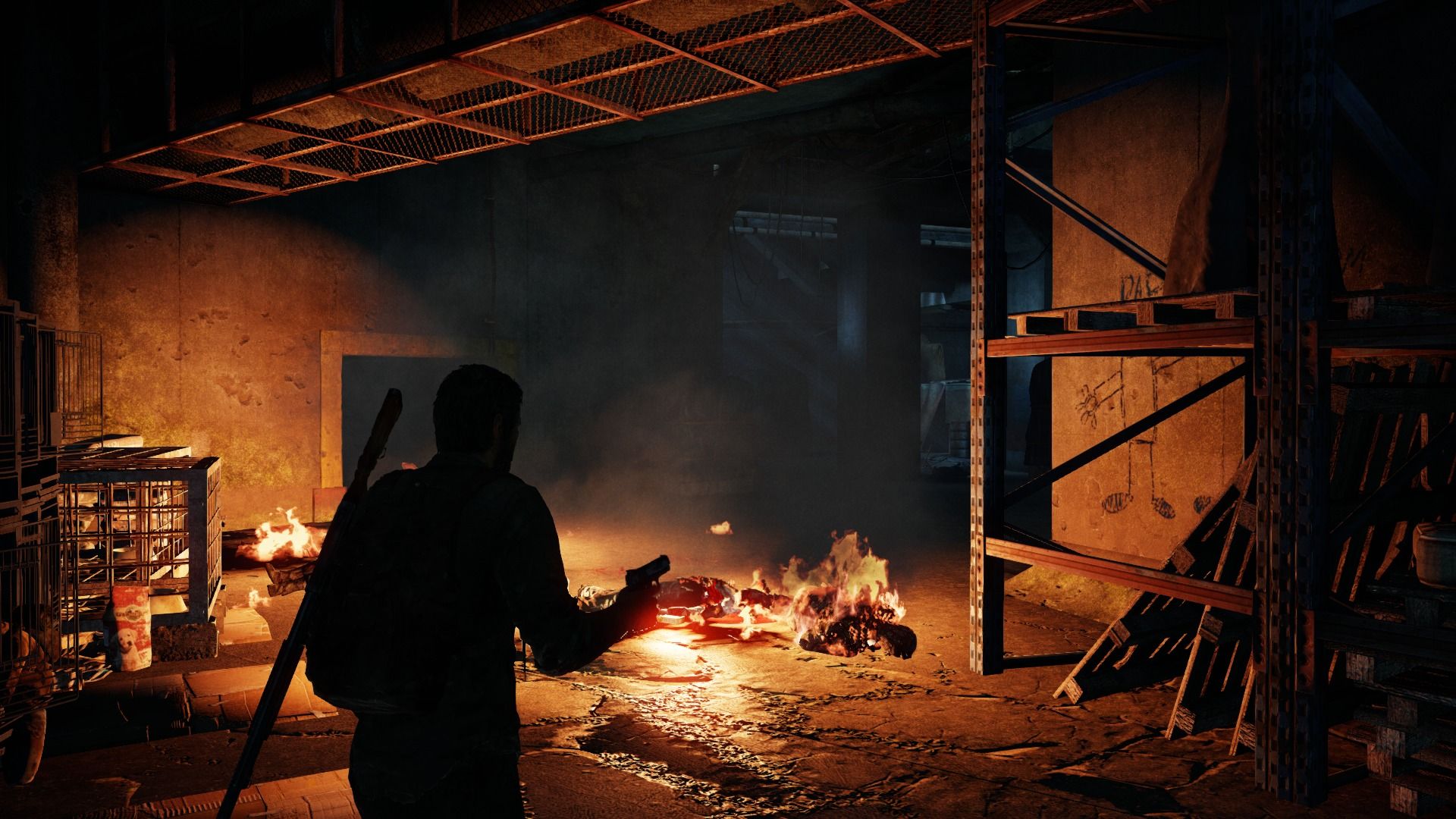 The Last of Us: Remastered [1920x1080] [OC] | Scrolller