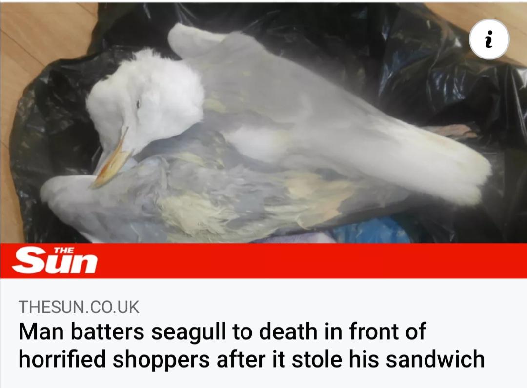 The Lighthouse (2019) | Scrolller