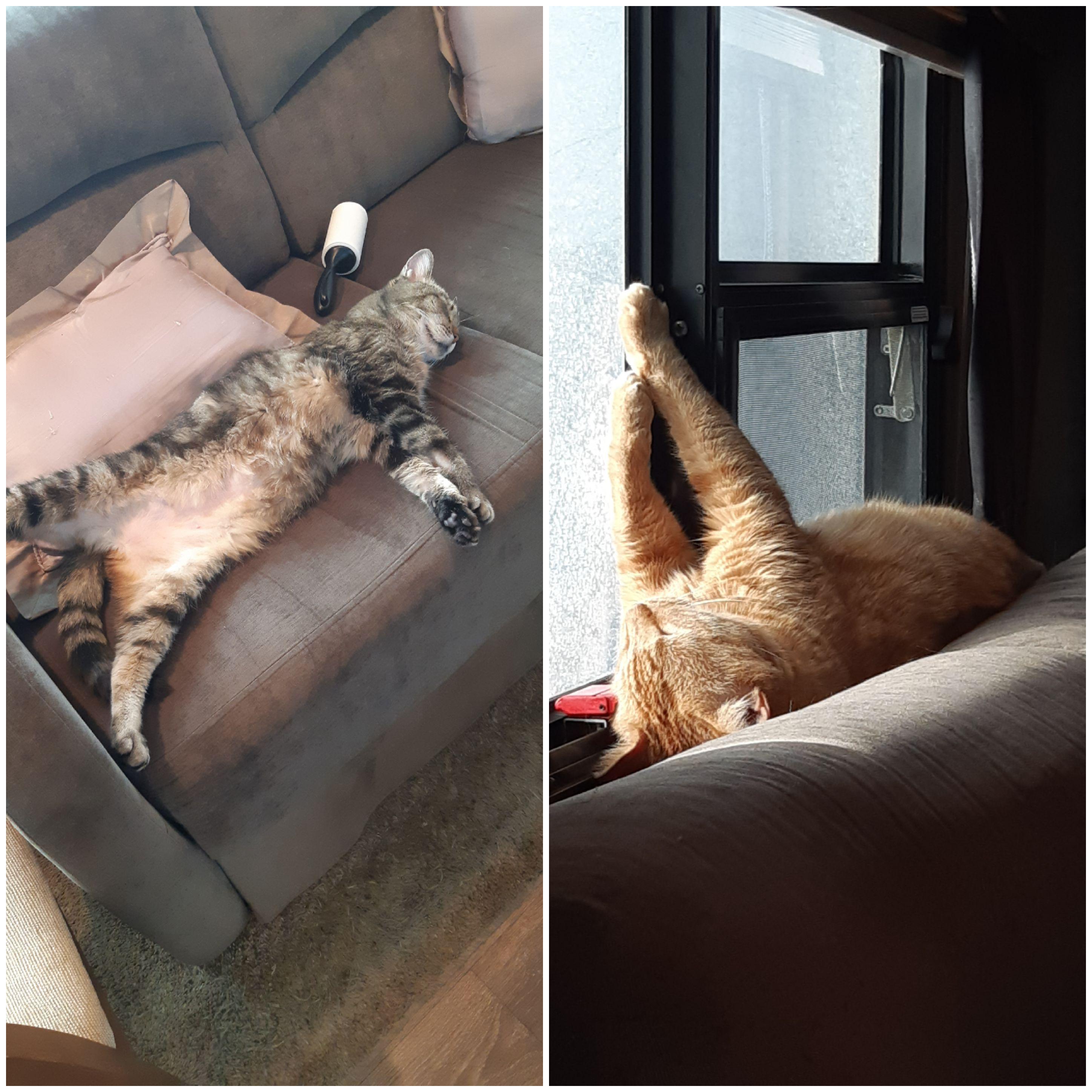 The many poses of isolation | Scrolller