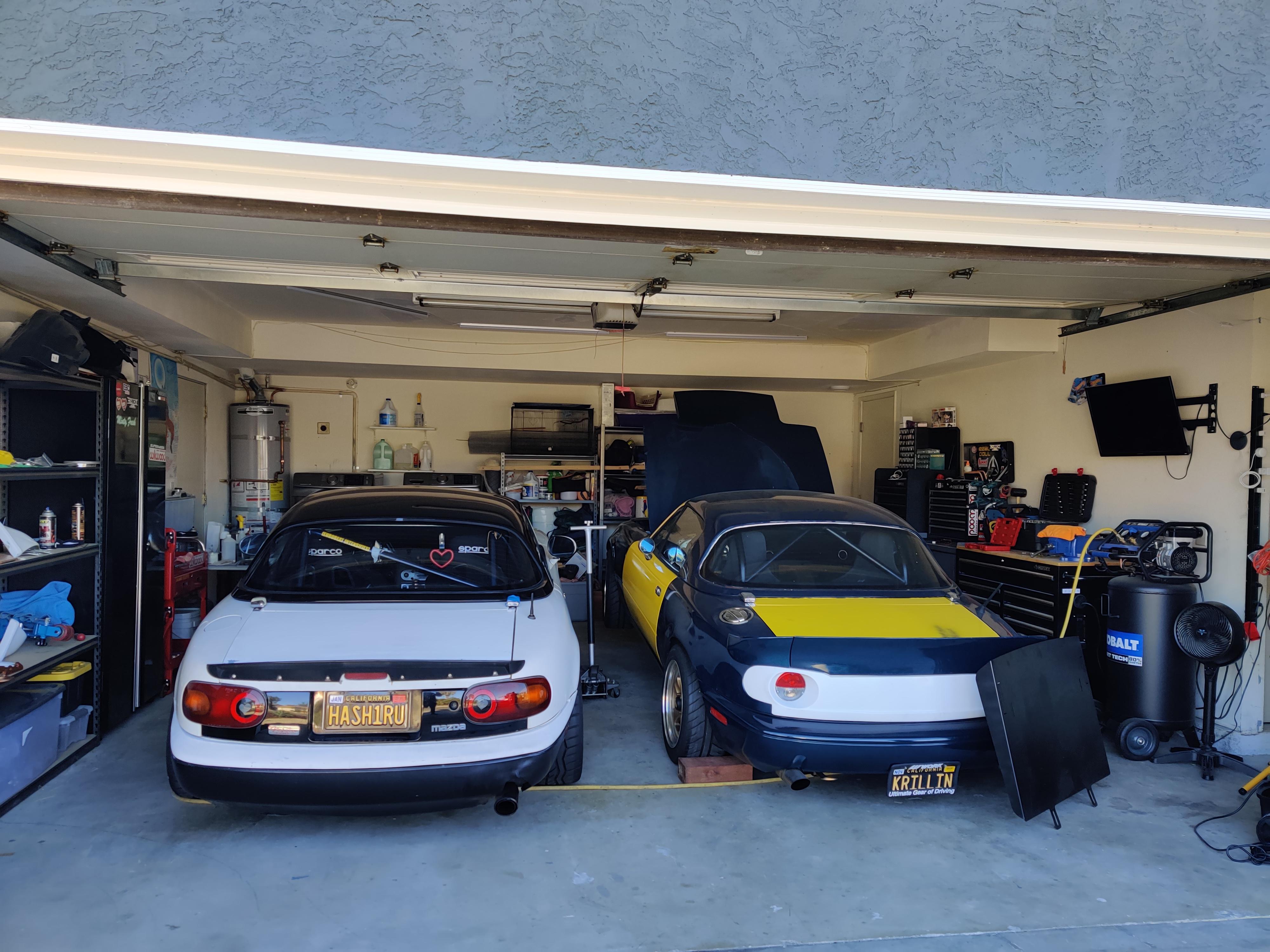 The mating ritual begins | Scrolller