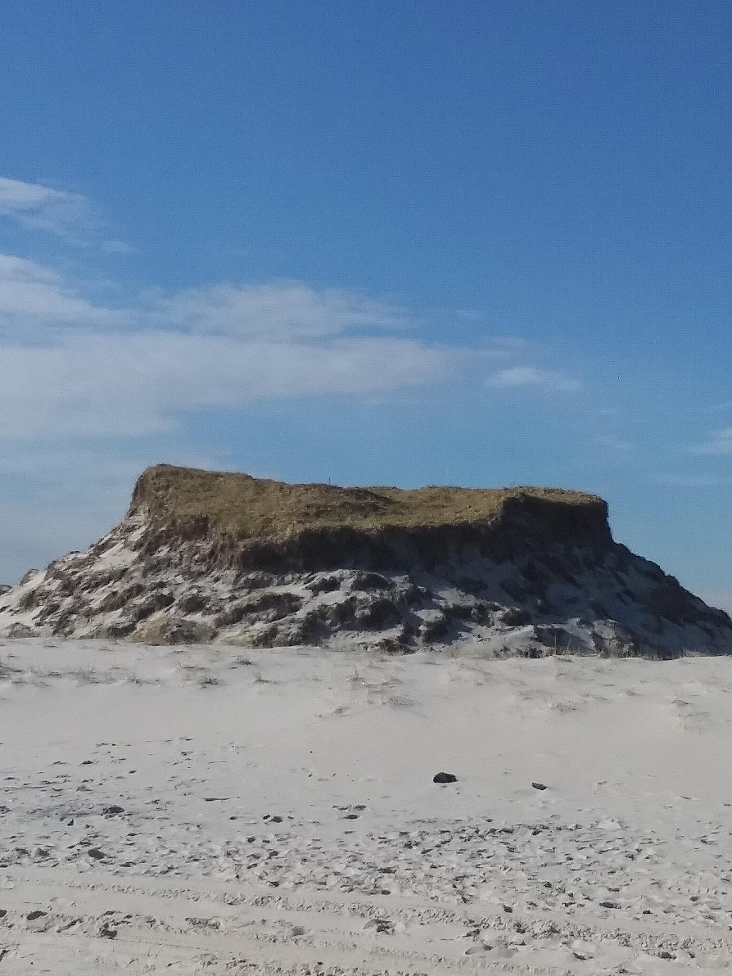 The Mesa Verde of Island Beach State Park. | Scrolller