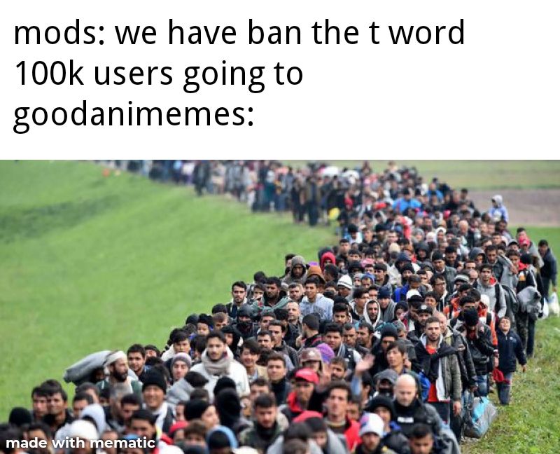 The migration begins | Scrolller