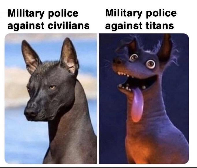 The Military police in a nutshell | Scrolller