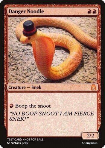 The most dangerous danger Noodle in the west | Scrolller