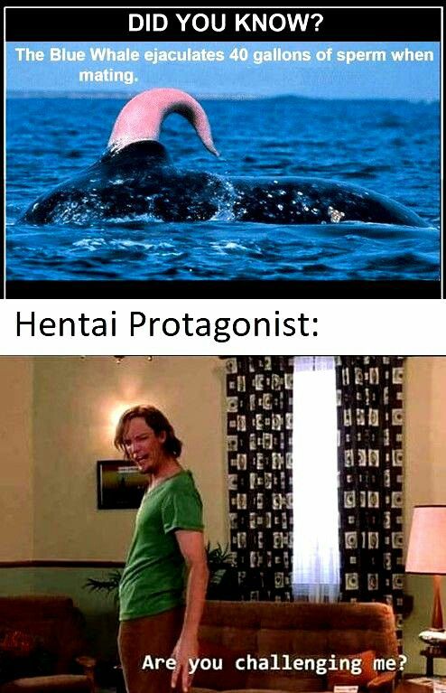 The most epic battle. | Scrolller