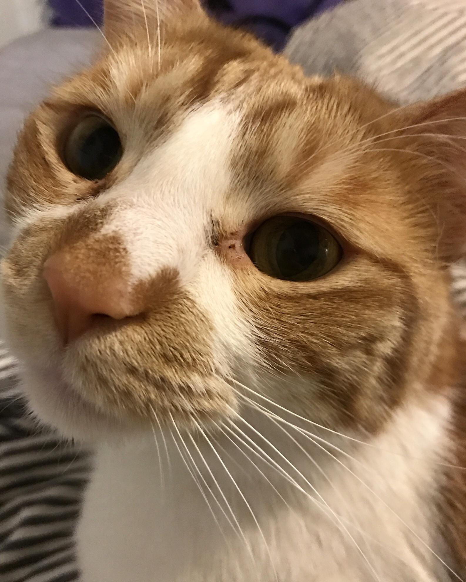 The most handsome boy around | Scrolller