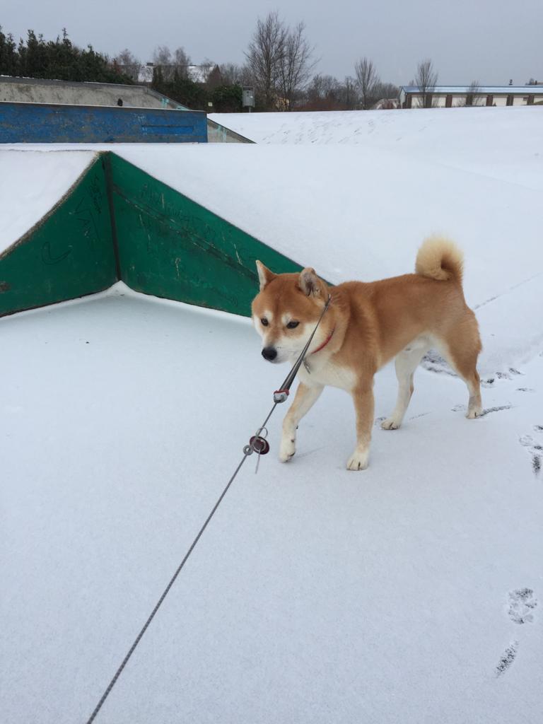 The most handsome boy I know! | Scrolller