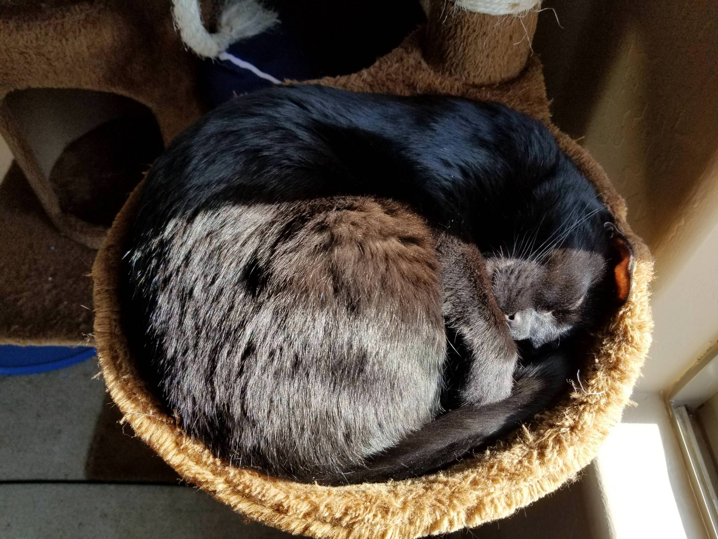 The most perfect circle | Scrolller