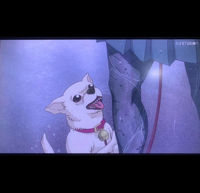 The most upsetting part of the story :( | Scrolller