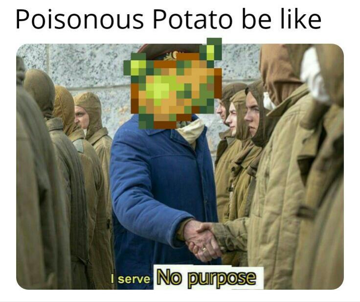 The most useless item ever? | Scrolller