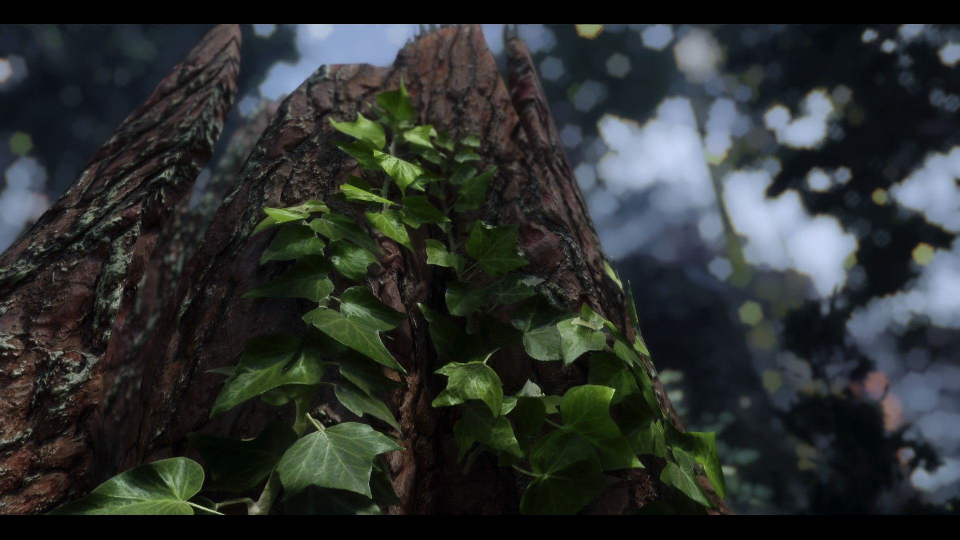 The perfect ENB | Scrolller