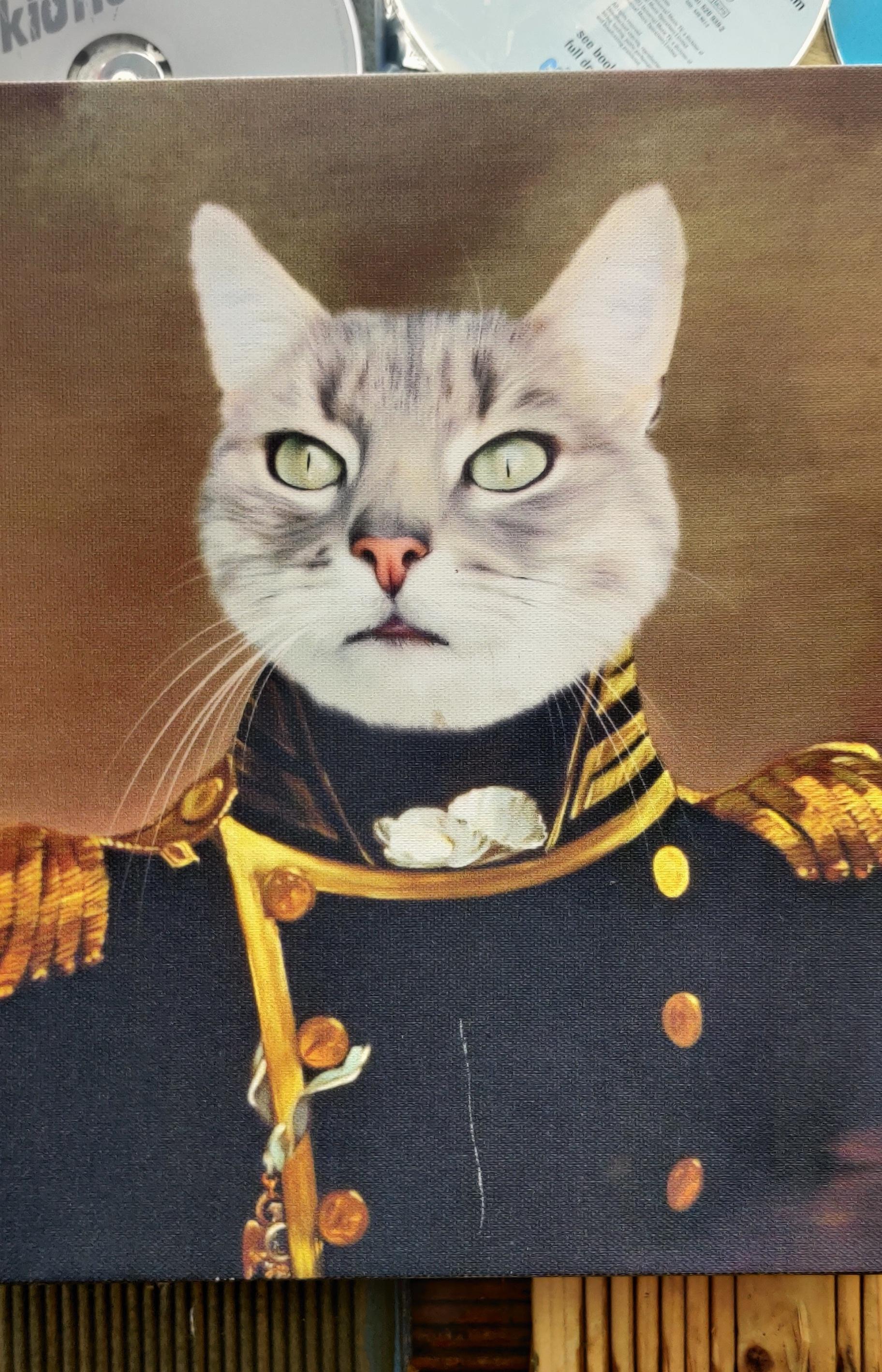 The portrait I got for my (grumpy who never wanted any pets) dad because he loves his cat very ...