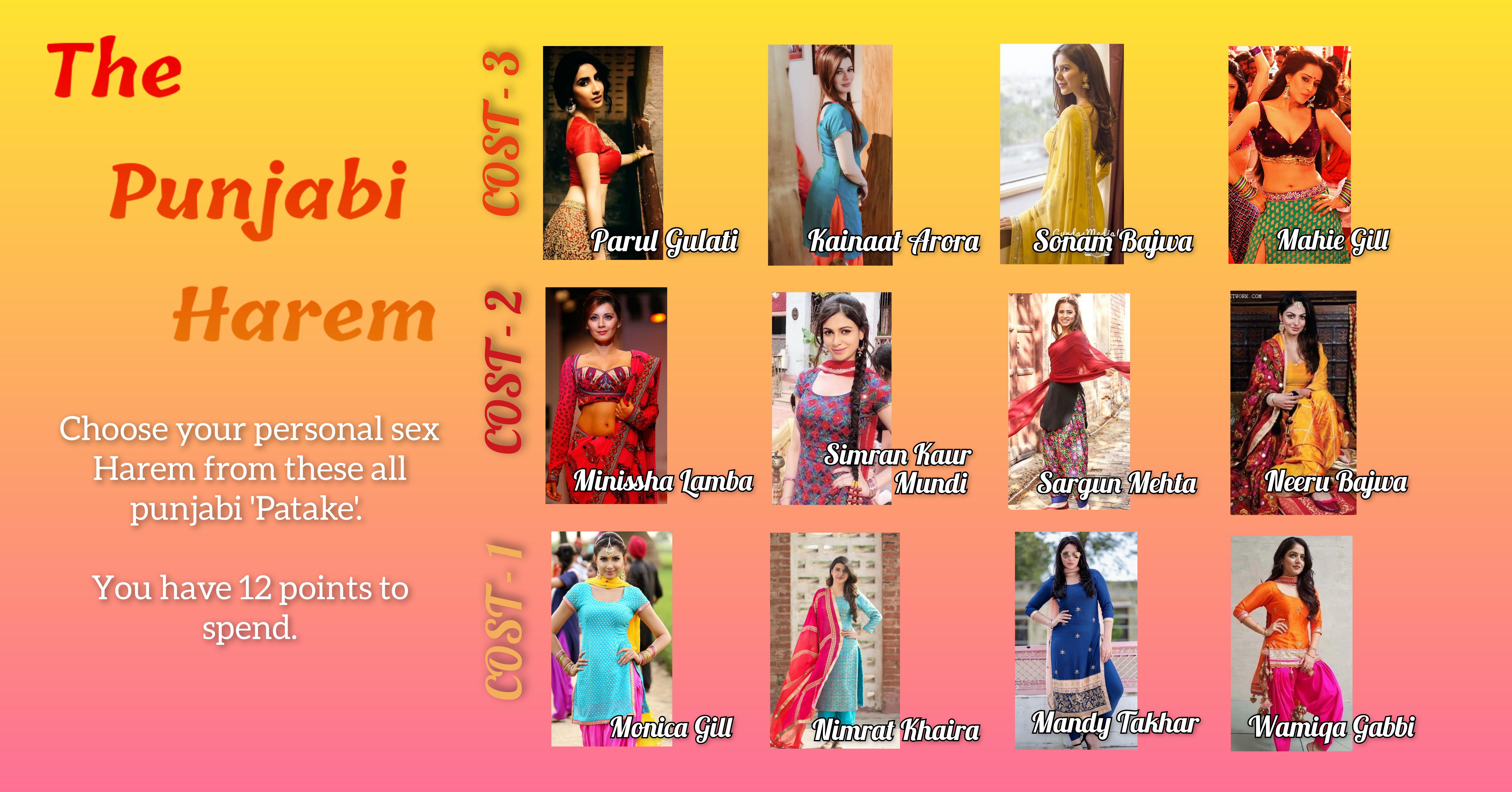 The Punjabi Harem | Scrolller