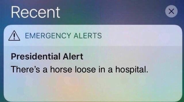 The real Presidential Emergency | Scrolller