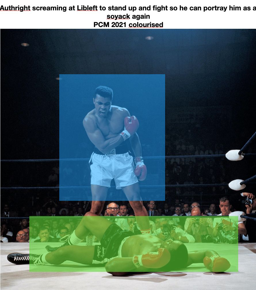 The real reason why Bernie lost | Scrolller